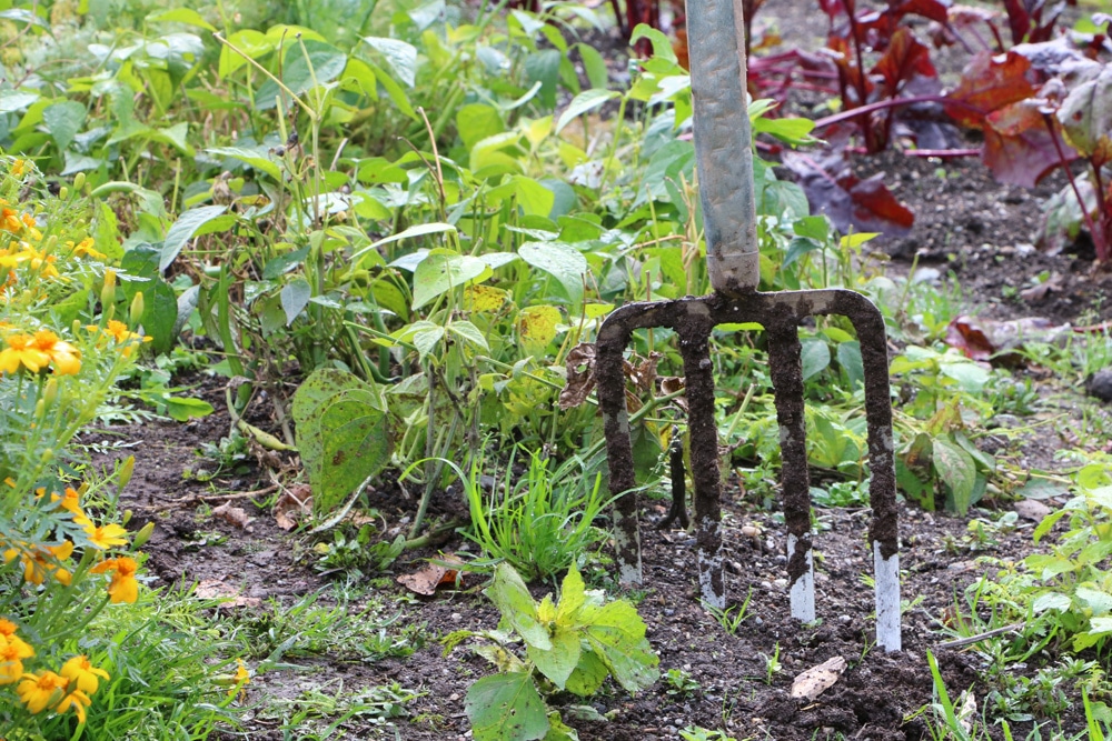 Was ist ein Selbstversorger? - Grundlagen der Selbstversorgung ...