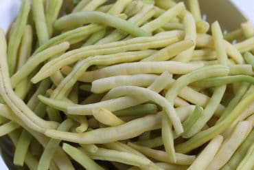 Bohnensorten von A-Z | 6 Bohnenarten mit Bild - Selbstversorger.de