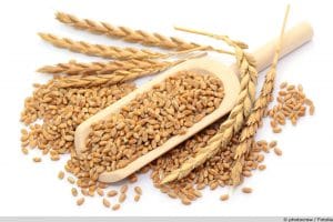 Getreidearten mit Bild: so erkennen Sie alle Getreidesorten | Übersicht ...