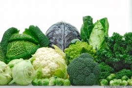 Kohlsorten mit Bild | 9 Kohlarten als Liste von A-Z | Kohlgemüse ...