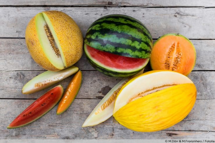 Melonenarten Mit Bild 40 Melonensorten Auflistung Von A Z