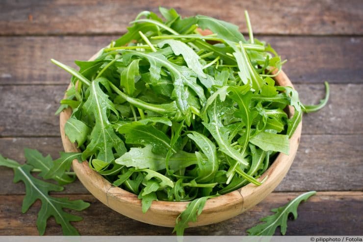 Salatsorten: alte und neue Salatarten mit Bild | Liste - Selbstversorger.de