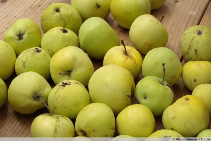 Alte Apfelsorten von A-Z | Liste alter Sorten in Deutschland ...