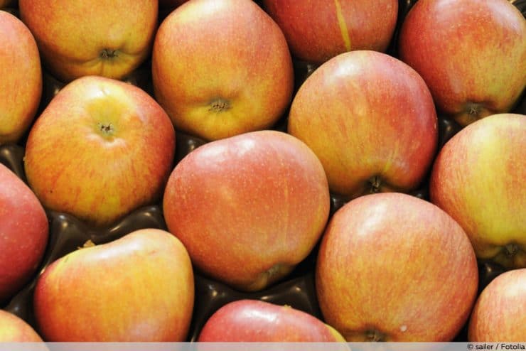 Apfelsorten von A-Z in Deutschland - frühe & späte Sorten | Übersicht ...