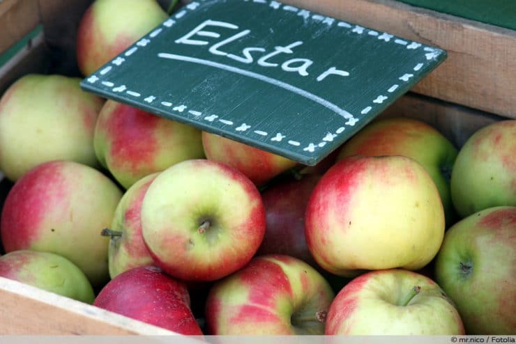 Apfelsorten von A-Z in Deutschland - frühe & späte Sorten | Übersicht ...