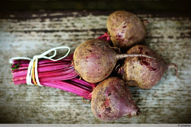 Rote Beete ernten: wann ist die rote Rübe eigentlich reif ...