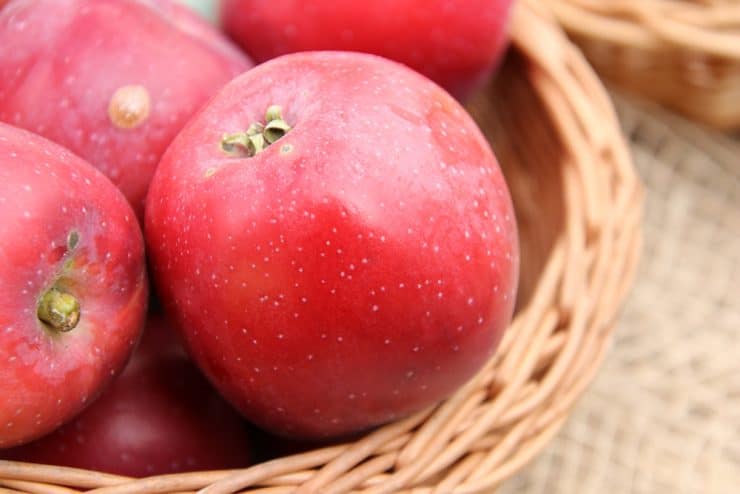 Berner Rosenapfel | Geschmack, Beschreibung & Verwendung ...