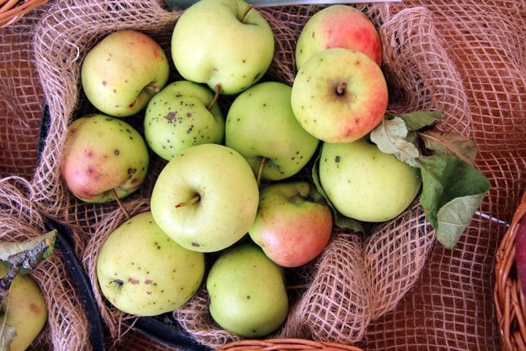 Apfel 'Golden Delicious' | Geschmack, Erntezeit & Herkunft ...
