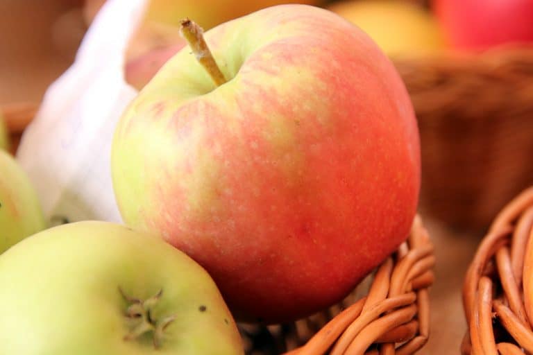 Apfel 'Pink Lady' | Geschmack, Herkunft, Anbau - Selbstversorger.de