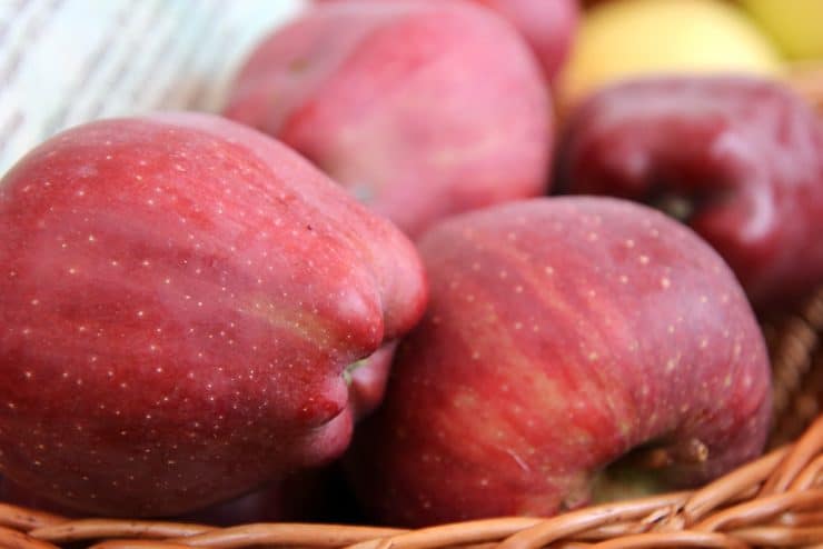 Apfel 'Red Delicious' | Geschmack, Befruchter & Co. - Selbstversorger.de