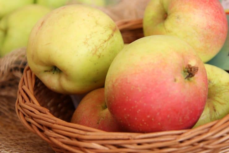 Apfel 'Relinda' | Standort, Befruchter, Pflege - Selbstversorger.de